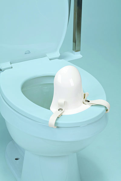 Toilet Support System