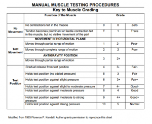 Manual Muscle Testing (MMT). Subjective or Objective? - Fabrication ...